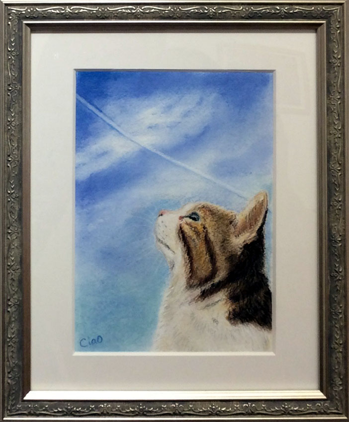 DORADO GALLERY ドラードギャラリー