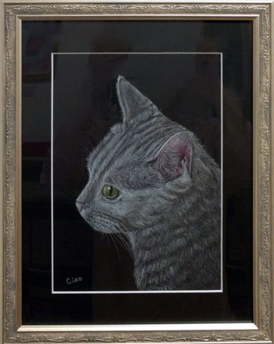 DORADO GALLERY ドラードギャラリー