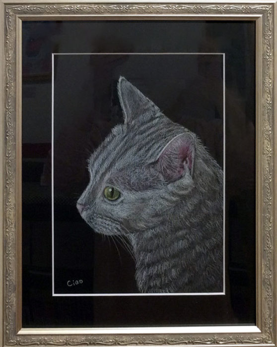 DORADO GALLERY ドラードギャラリー