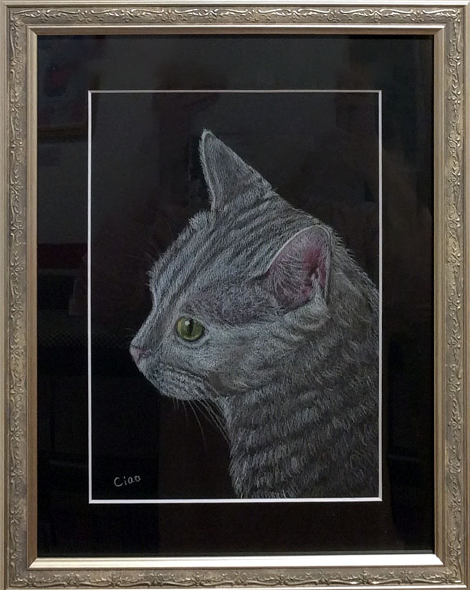 DORADO GALLERY ドラードギャラリー